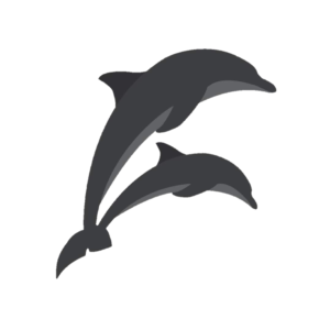 IEDC CCEIJK – Beyond Boundaries